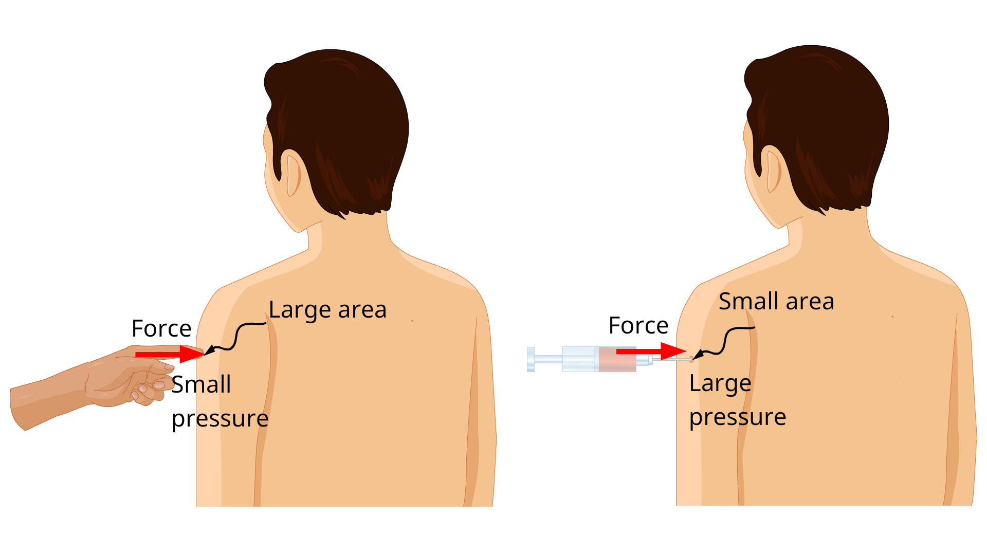 Figure 1(a): A force applied to the body using a finger; (b): The same ...