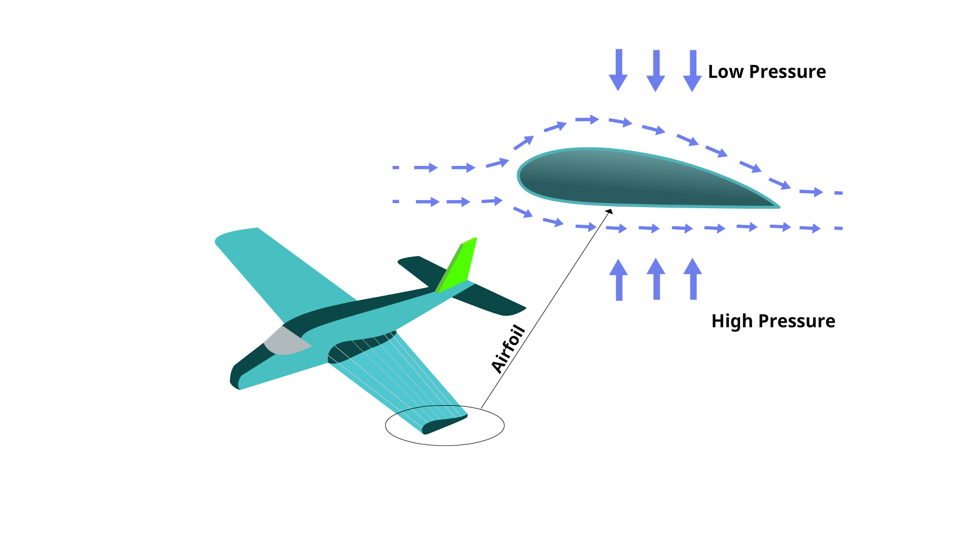 Daniel Bernoulli Airplanes
