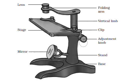 Simple Microscope Parts